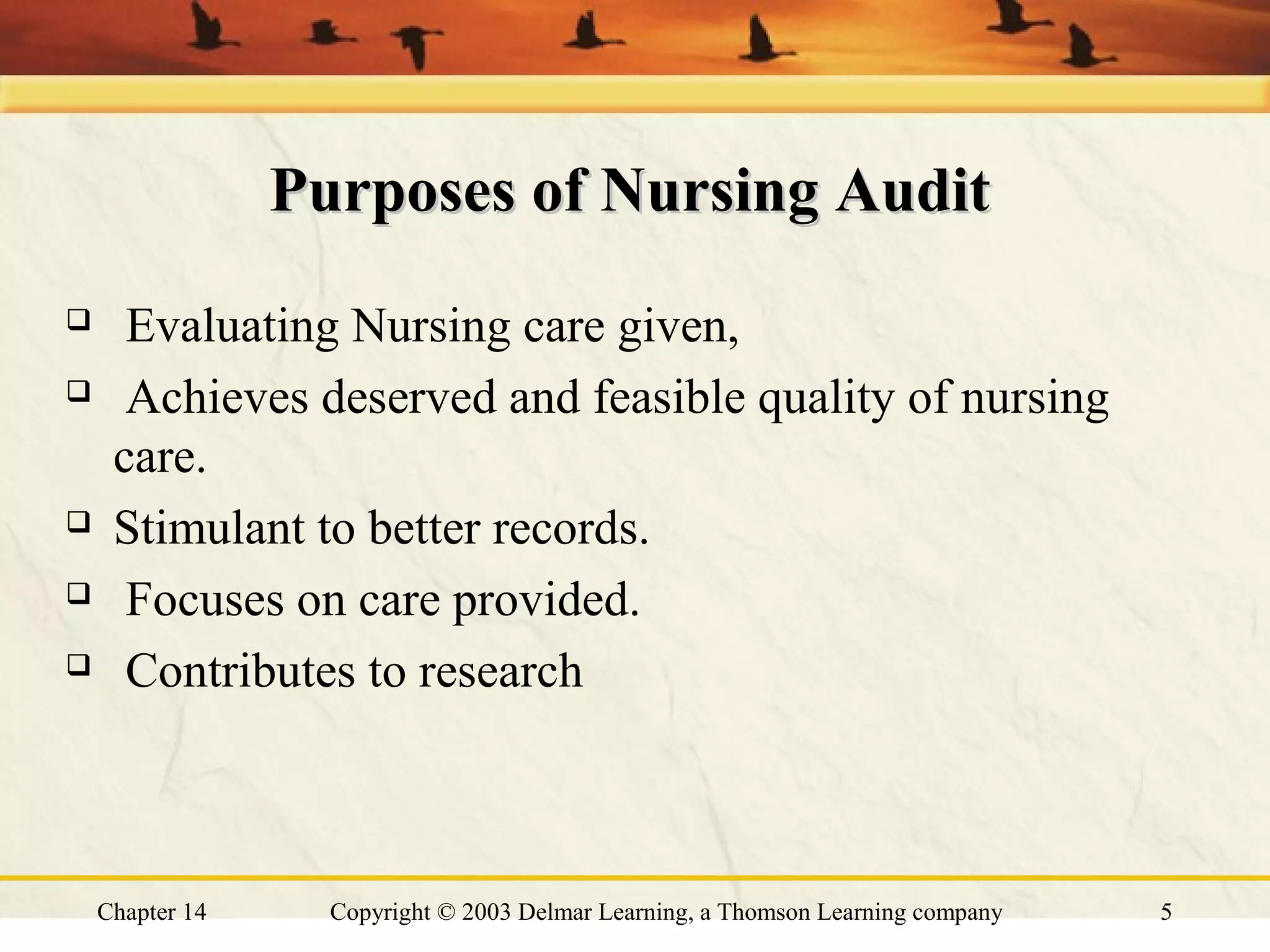 3. nursing audit | PPT