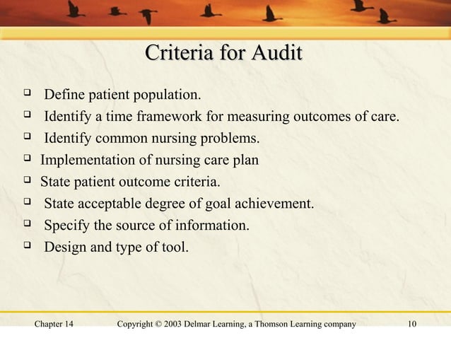 3. nursing audit | PPT | Healthcare Industry | Industries