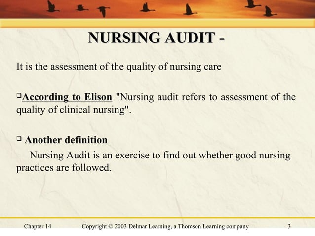 3. nursing audit | PPT | Healthcare Industry | Industries