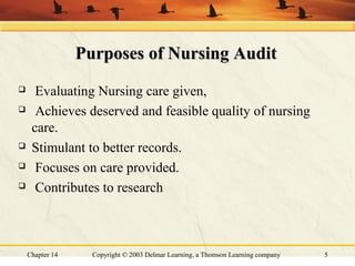 3. nursing audit | PPT