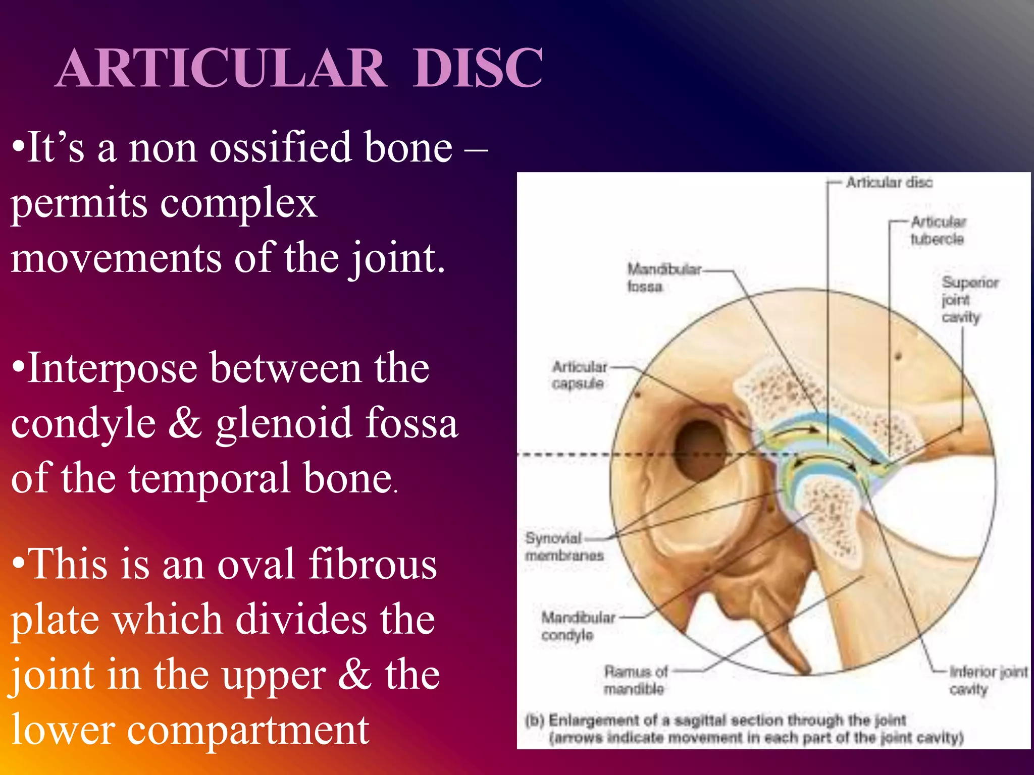 3.biomechanics of temporomandibular joint | PPTX