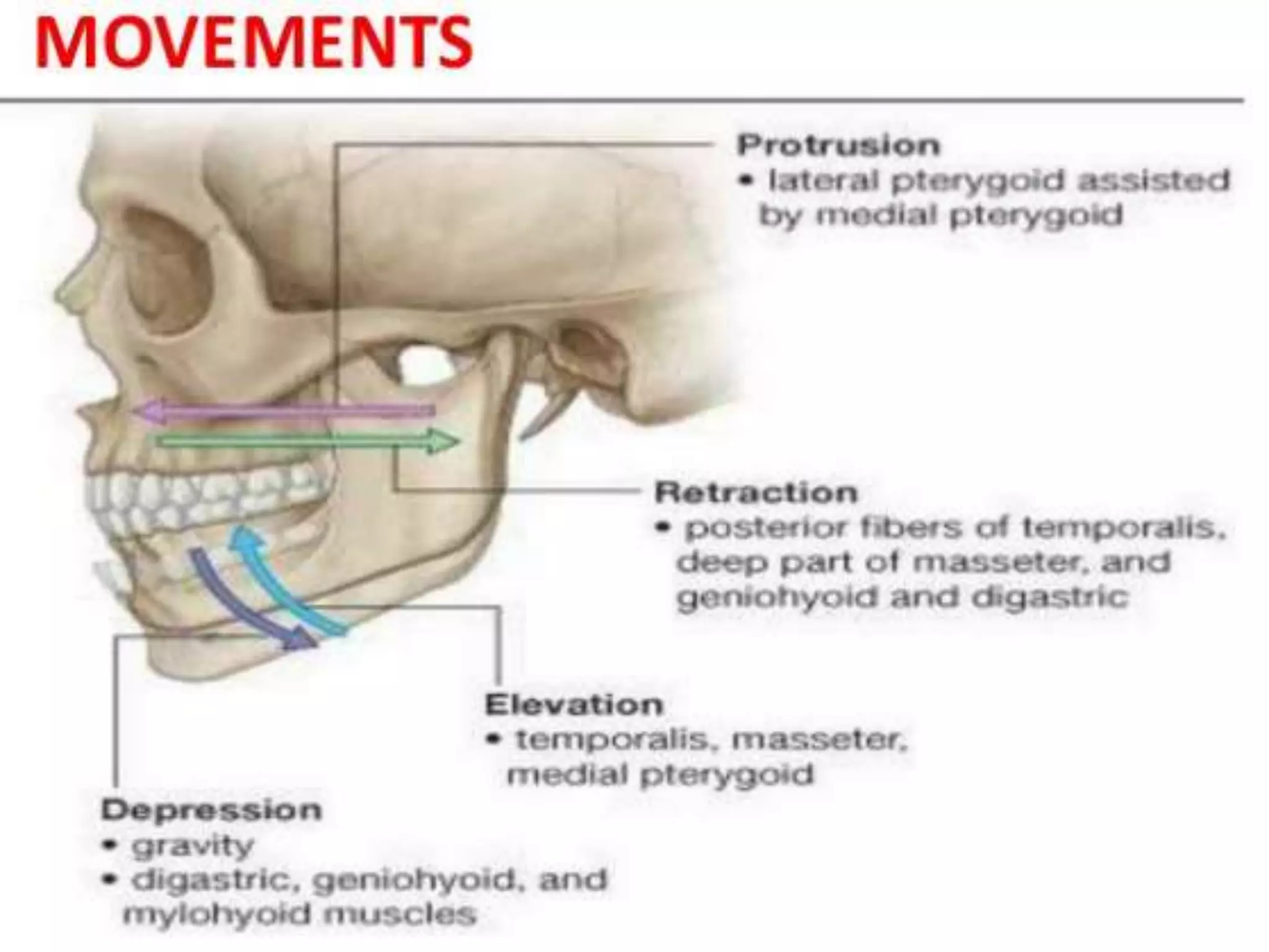 3.biomechanics of temporomandibular joint | PPTX