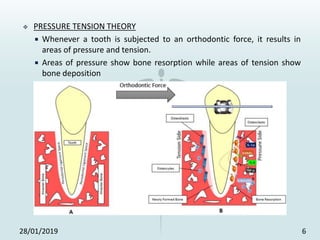 Drugs in orthodontics | PPT