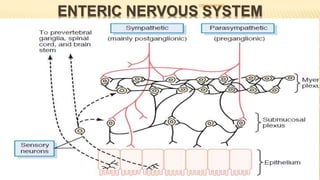 3. git lecture 3 | PPT