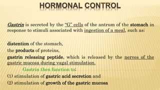 3. git lecture 3 | PPT