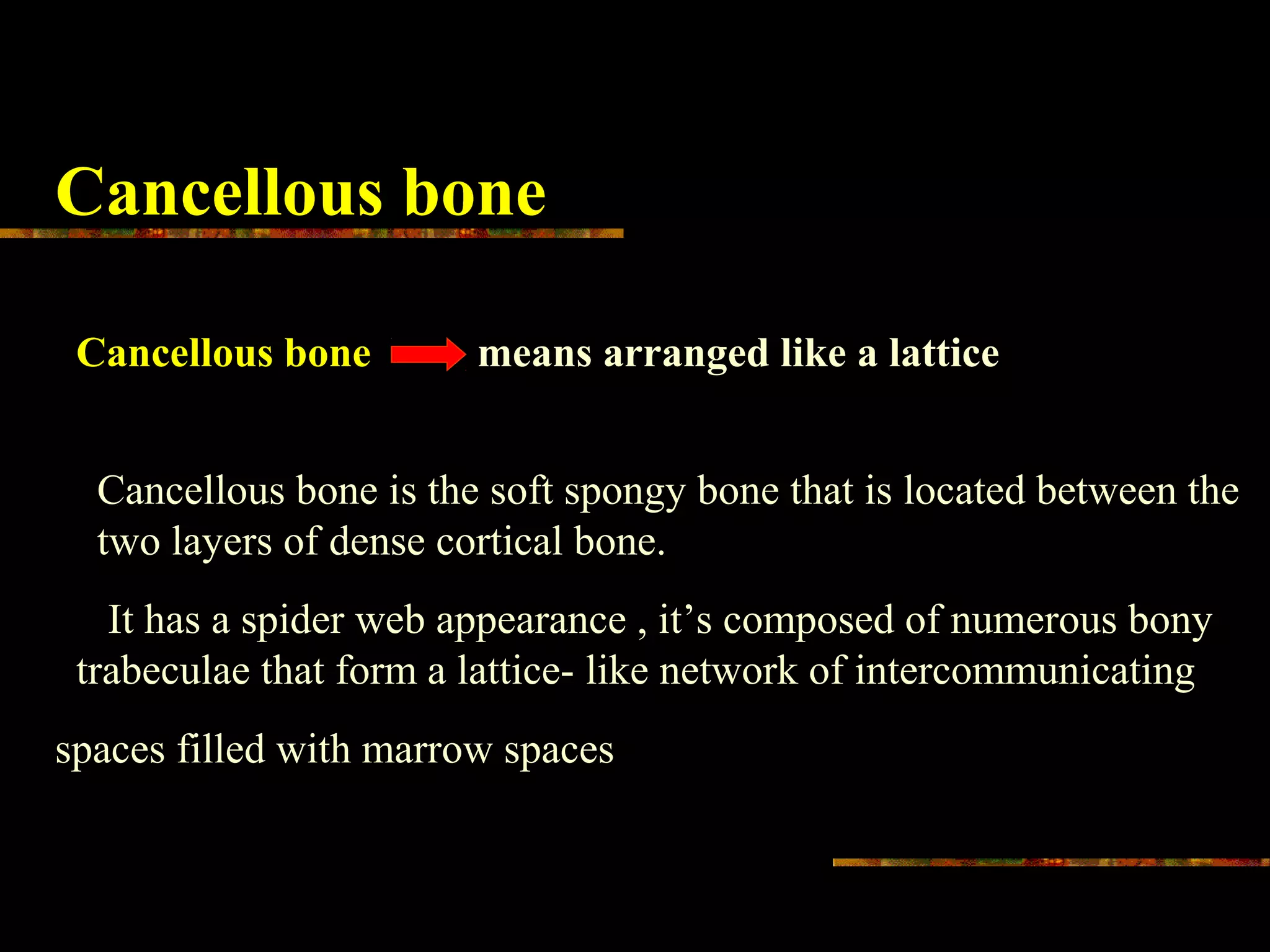 Intra Oral radiographic anatomical landmarks | PPT