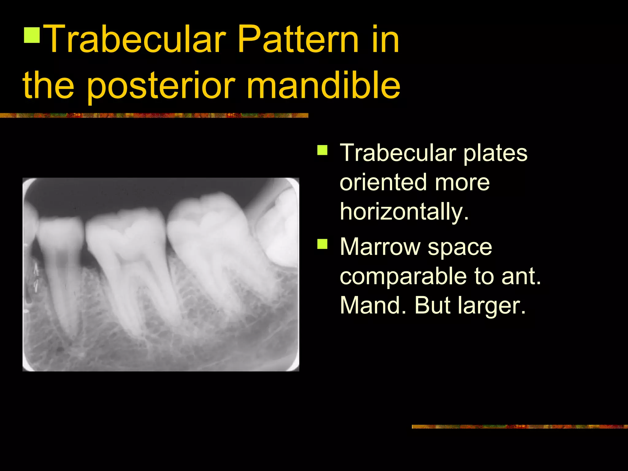 Intra Oral radiographic anatomical landmarks | PPT