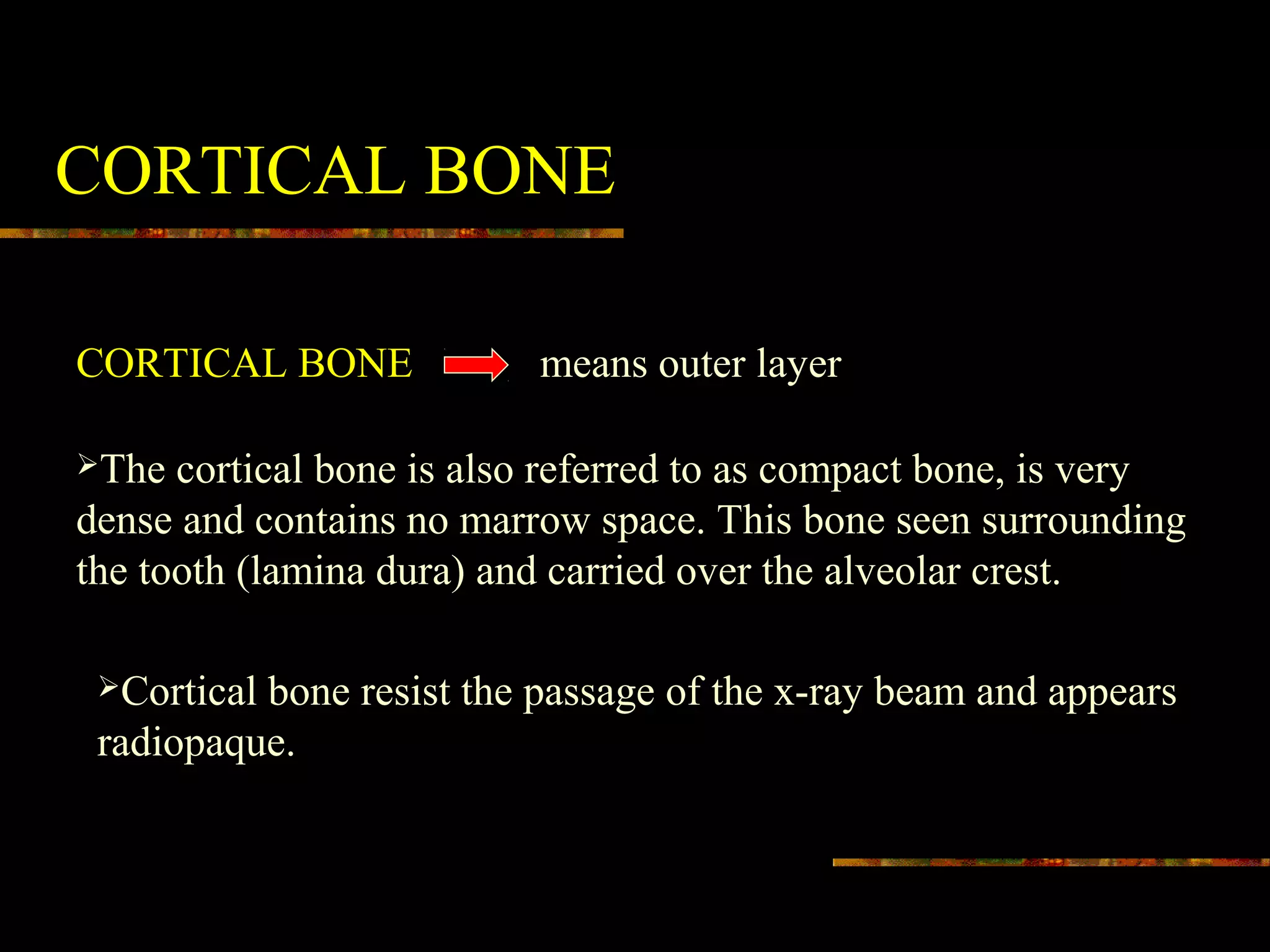 Intra Oral radiographic anatomical landmarks | PPT