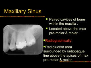 Intra Oral radiographic anatomical landmarks | PPT