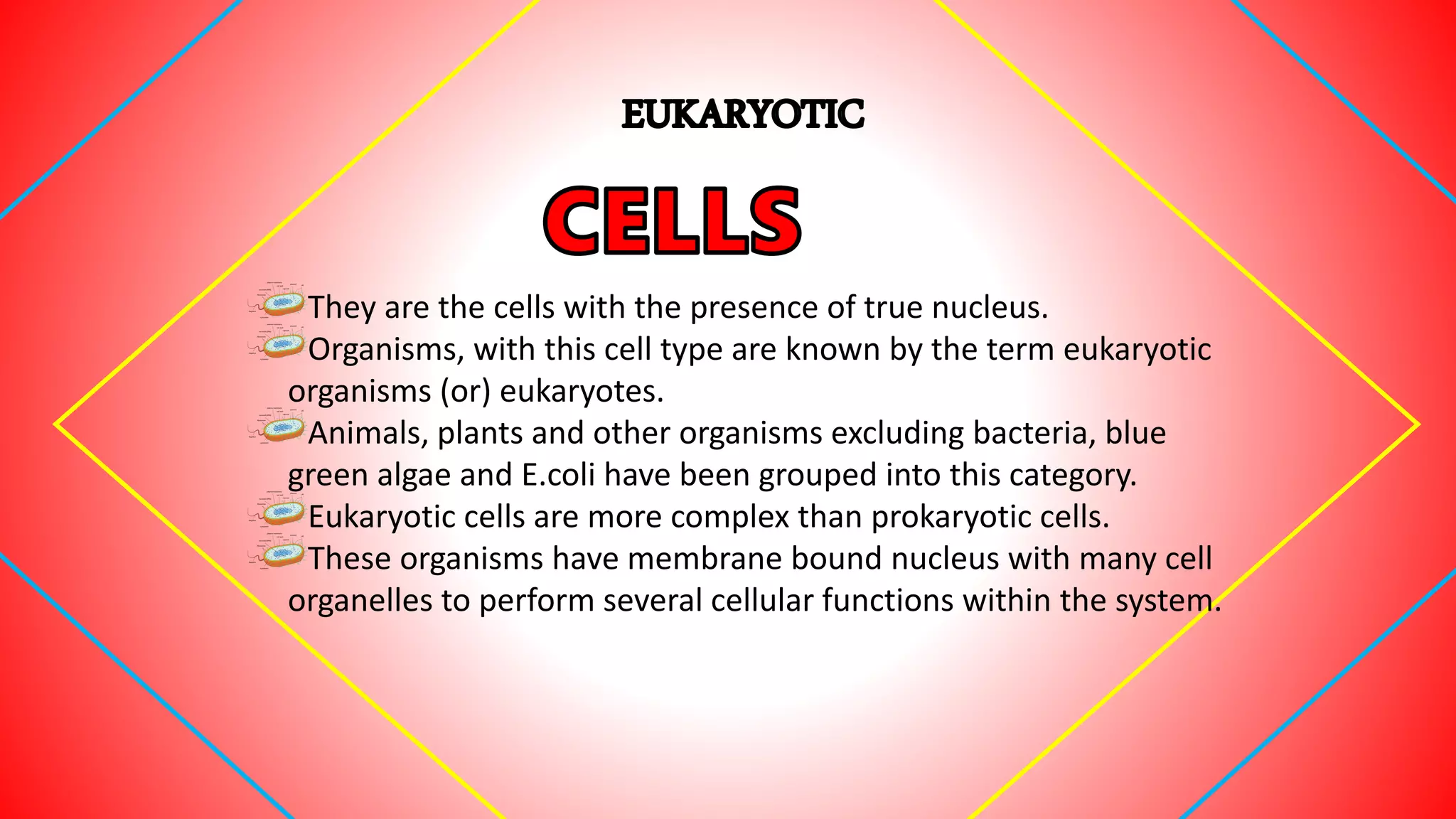 3. prokaryotic vs eukaryotic cells | PPTX