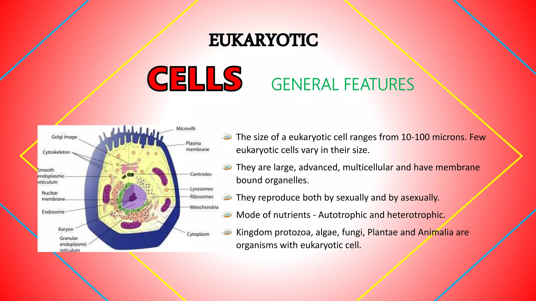 3. prokaryotic vs eukaryotic cells | PPTX