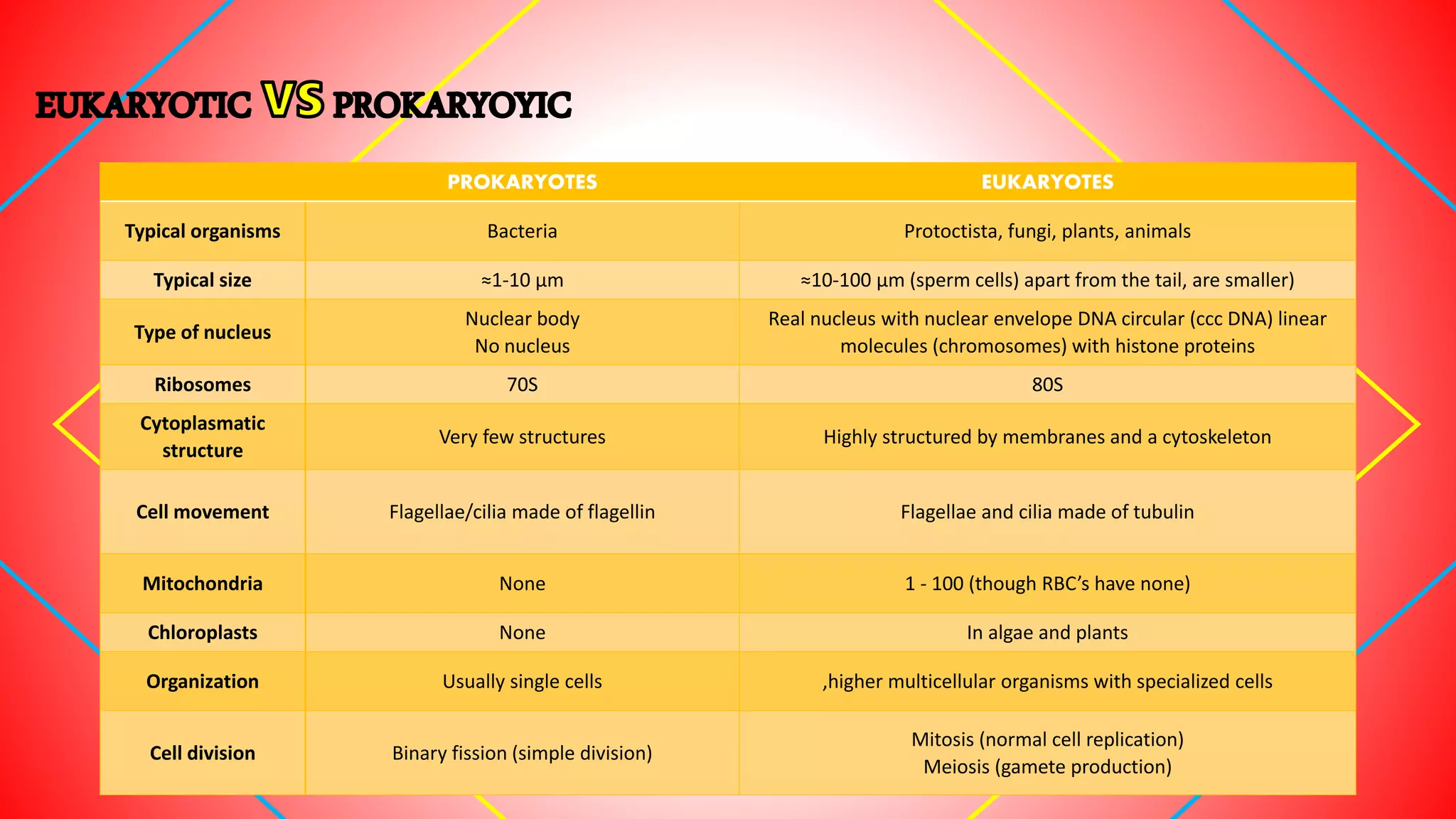 3. prokaryotic vs eukaryotic cells | PPTX