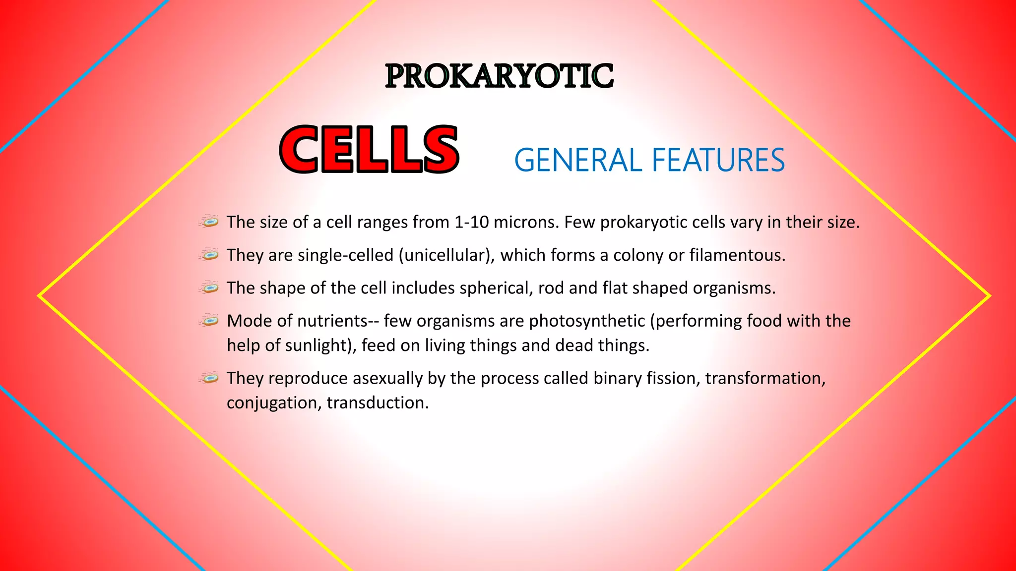 3. prokaryotic vs eukaryotic cells | PPTX