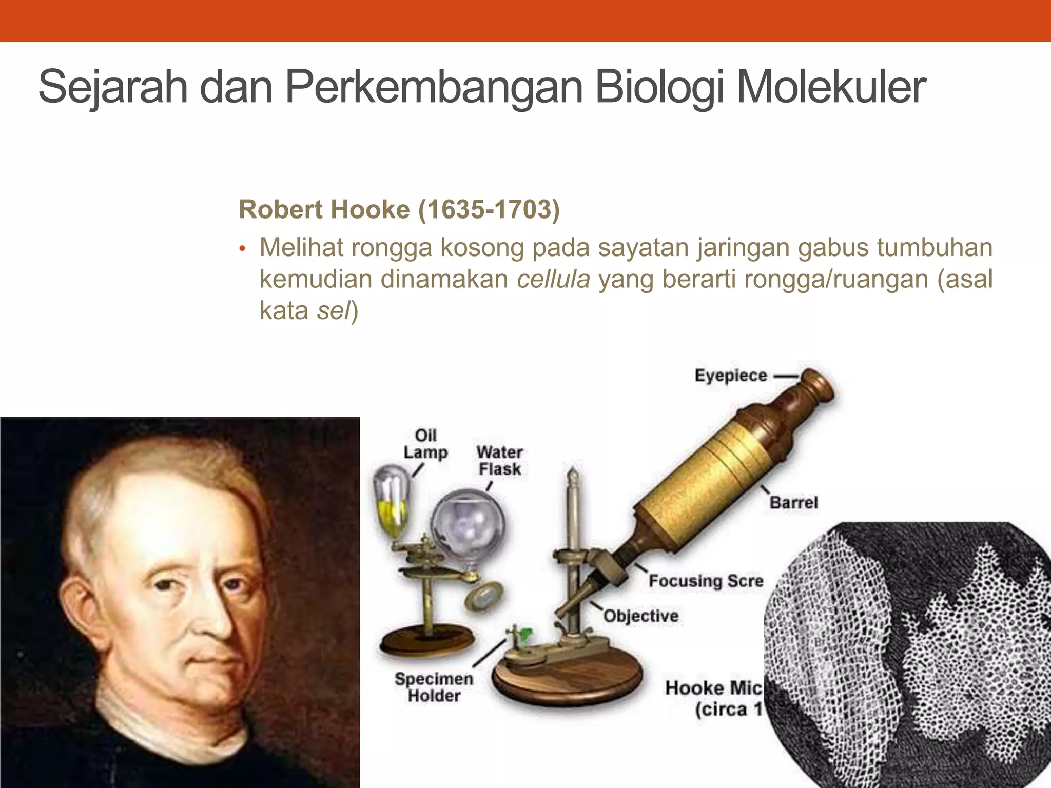 3. biologi molekuler (rpl) | PPTX