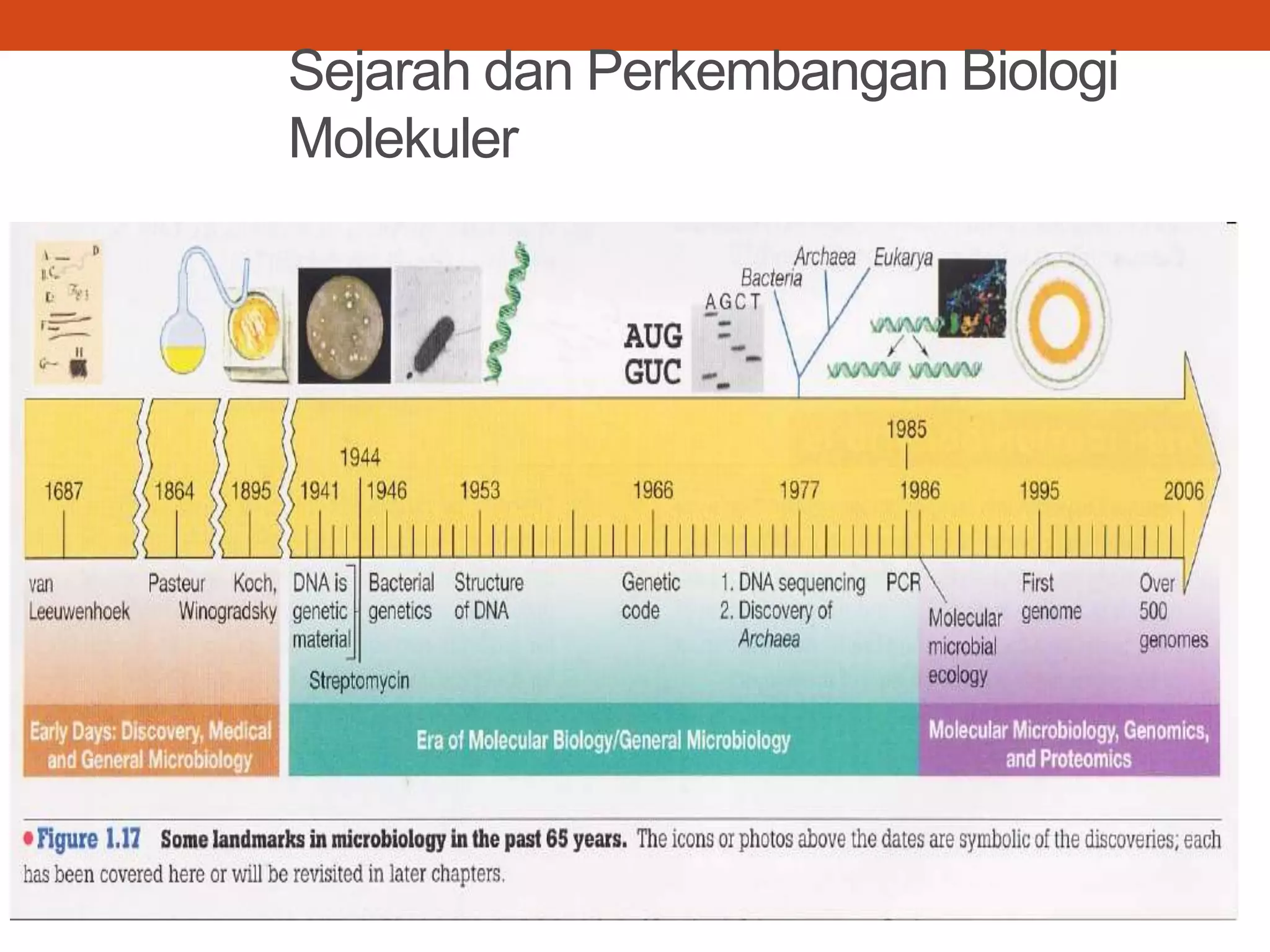 3. biologi molekuler (rpl) | PPTX