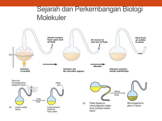 3. biologi molekuler (rpl) | PPTX
