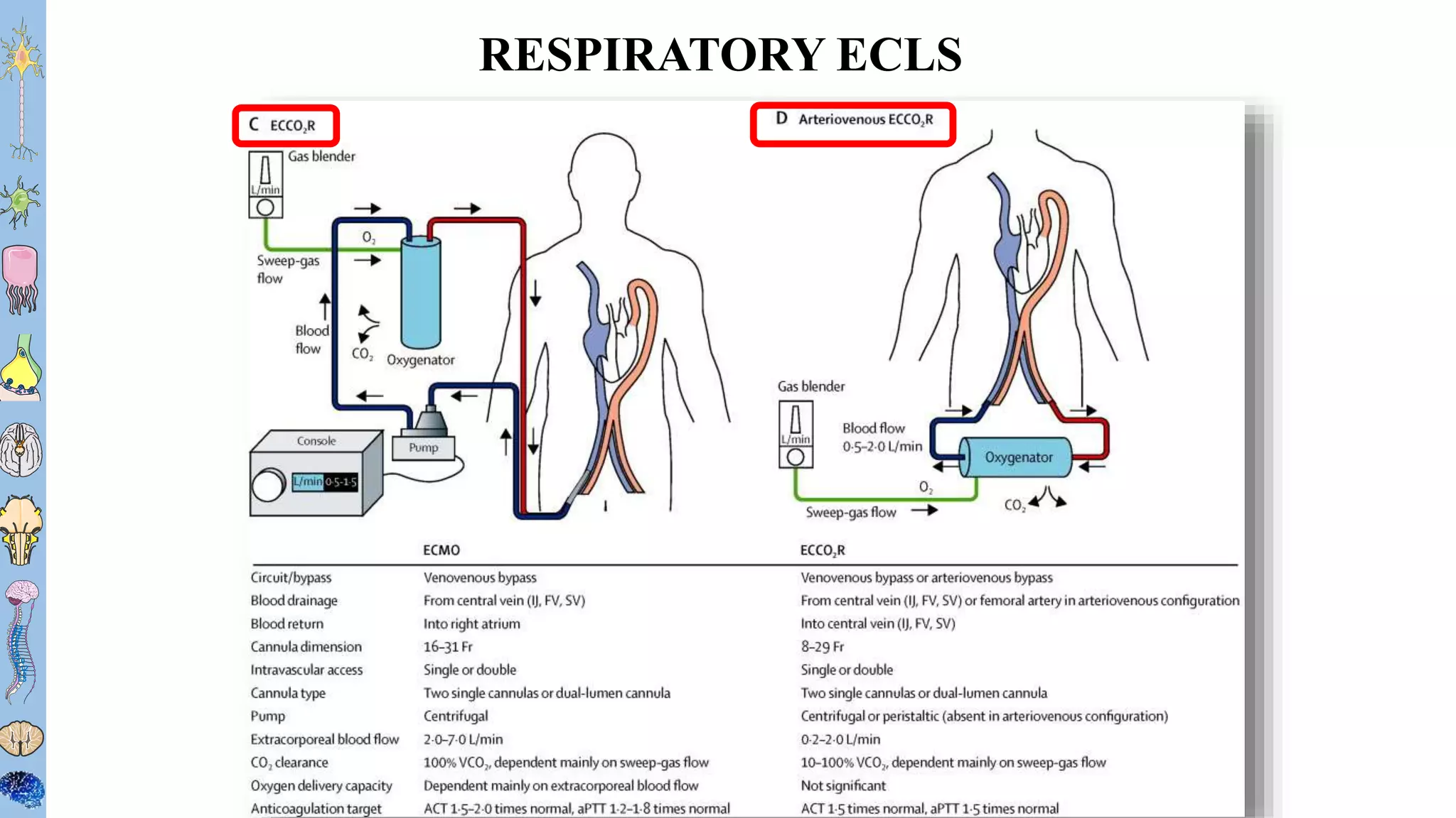 3. ecmo different modes and principles va vv #beach2019 (taccone) | PPT ...