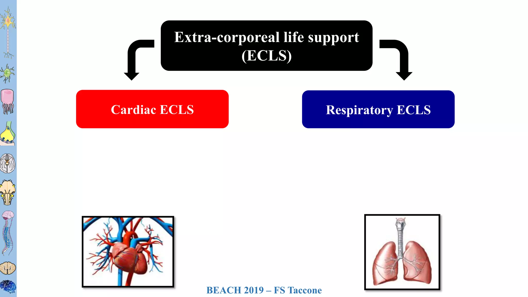3. ecmo different modes and principles va vv #beach2019 (taccone) | PPT