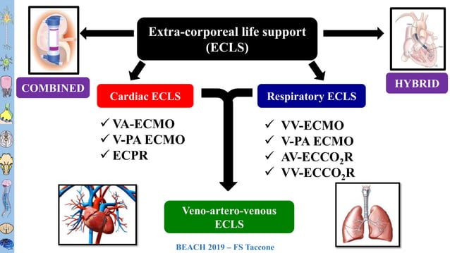 3. ecmo different modes and principles va vv #beach2019 (taccone) | PPT