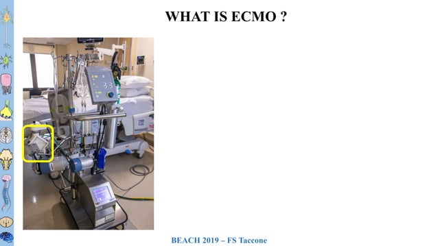 3. ecmo different modes and principles va vv #beach2019 (taccone) | PPT