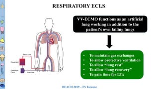 3. ecmo different modes and principles va vv #beach2019 (taccone) | PPT