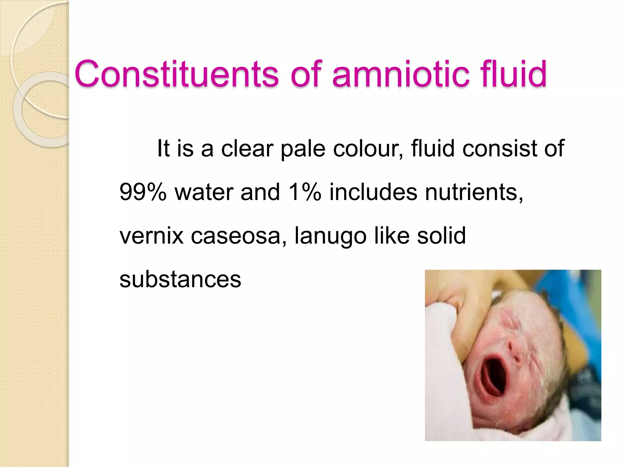 Fertilisation | PPTX