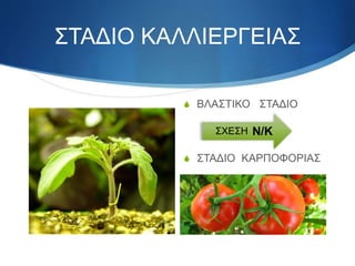 Σύγχρονος εξοπλισμός για την εφαρμογή υδρολίπανσης στις υδροπονικές ...