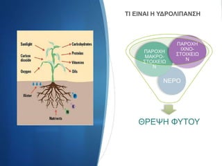 Σύγχρονος εξοπλισμός για την εφαρμογή υδρολίπανσης στις υδροπονικές ...