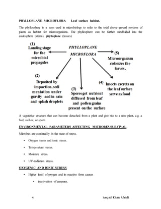 aero microbiology | DOCX