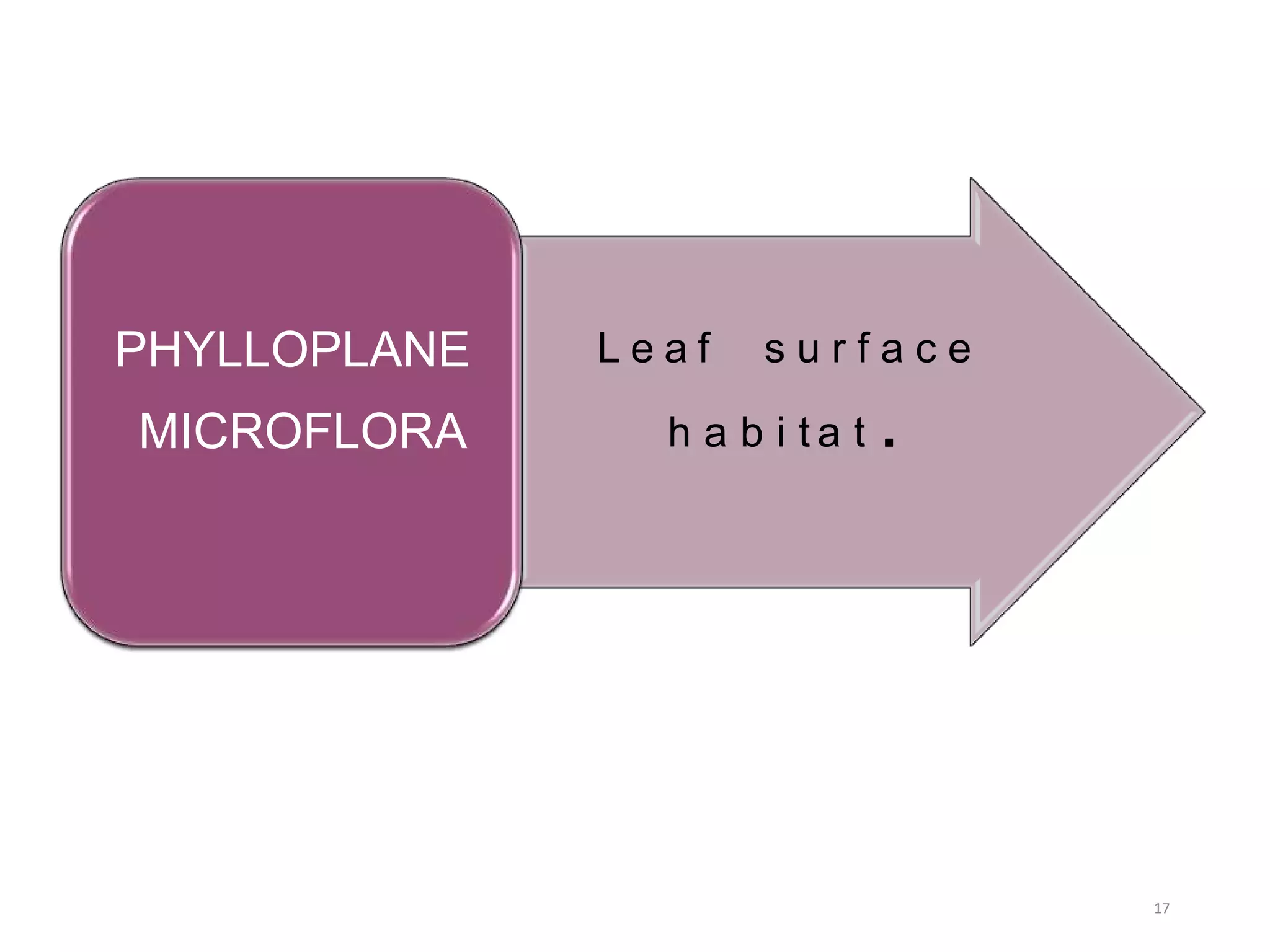 aeromicrobiology | PDF