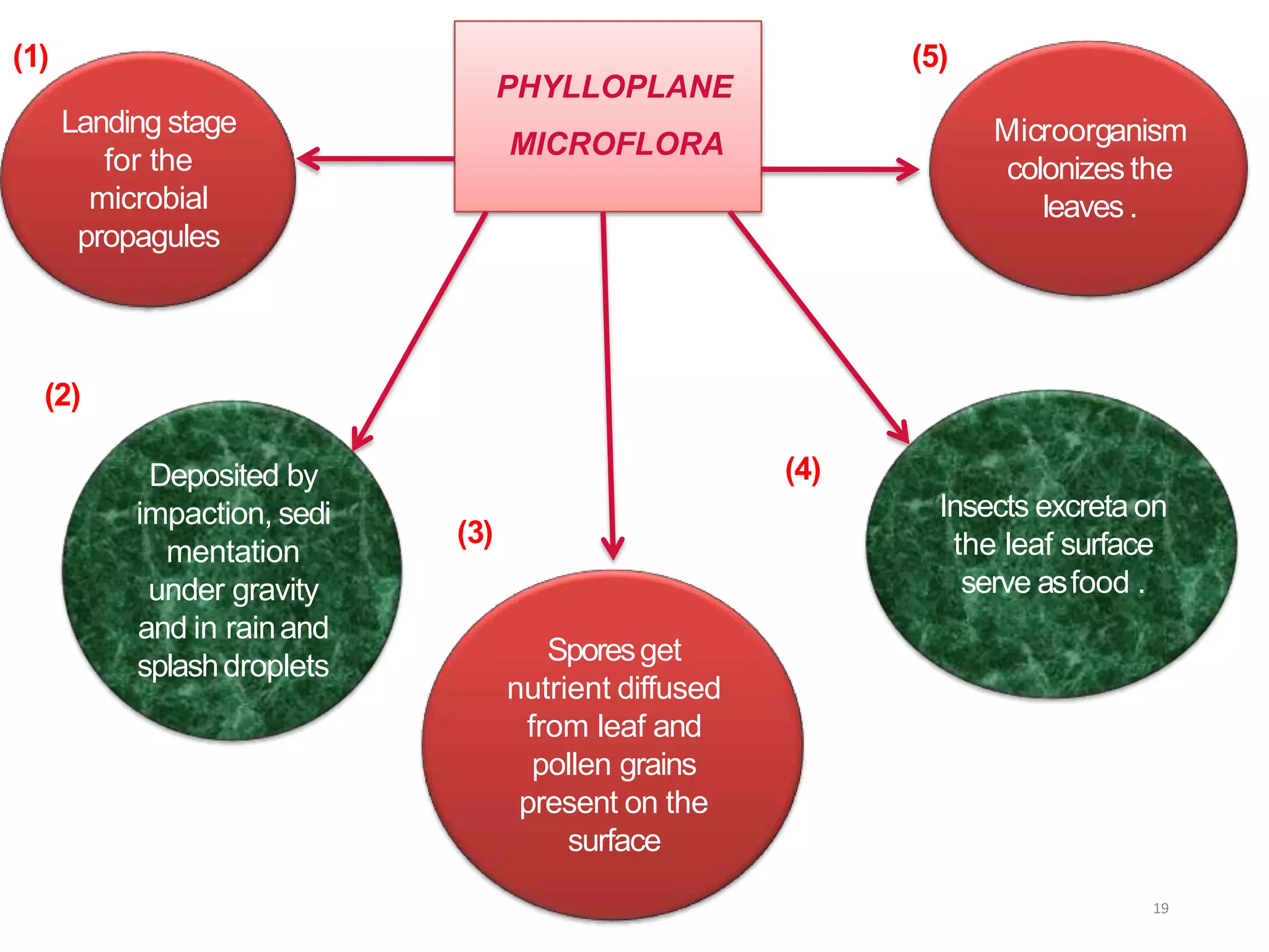 aeromicrobiology | PDF