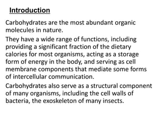 3. carbohydrates | PPTX