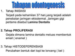 3.pertumbuhan gigi2 | PPT