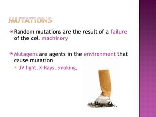 3 19 Mutations | PPT