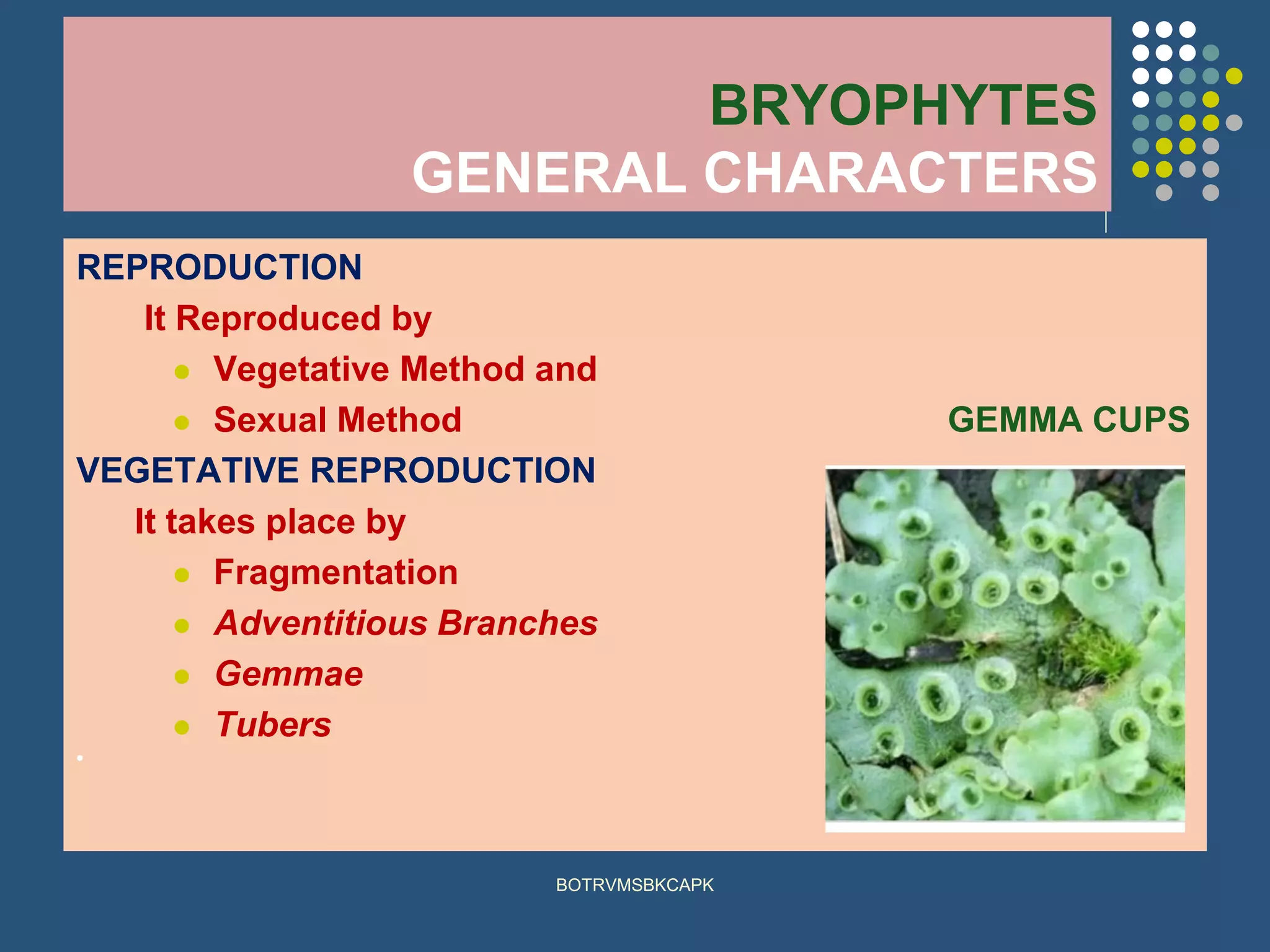 3 1 bryophytes -general characters | PDF