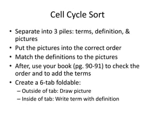 3 1 cell cycle overview (k) | PPTX