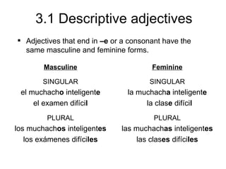 3.1 Descriptive Adjectives | PPT