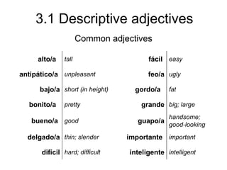 3.1 Descriptive Adjectives | PPT