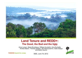 Land tenure and REDD+: the good, the bad and the ugly | PDF