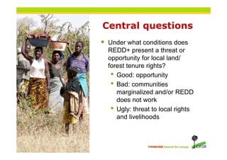 Land tenure and REDD+: the good, the bad and the ugly | PDF
