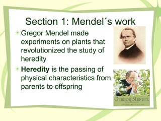 3.1 mendel´s work | PPT