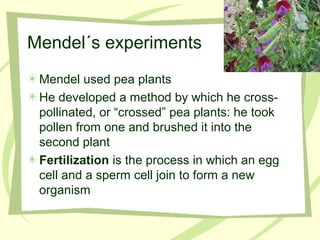 3.1 mendel´s work | PPT