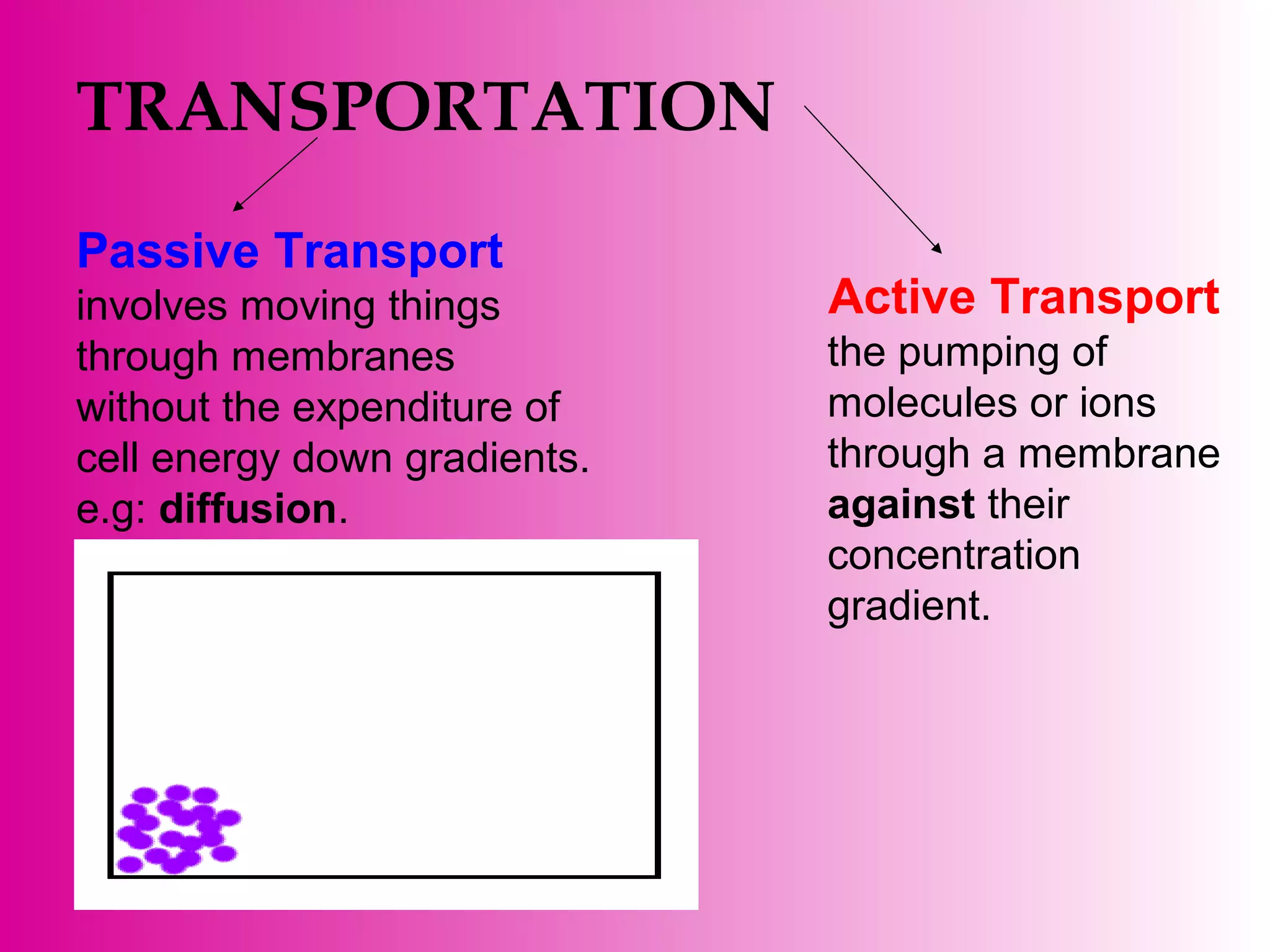 Movement of Substances Across Membrane Plasma | PPT