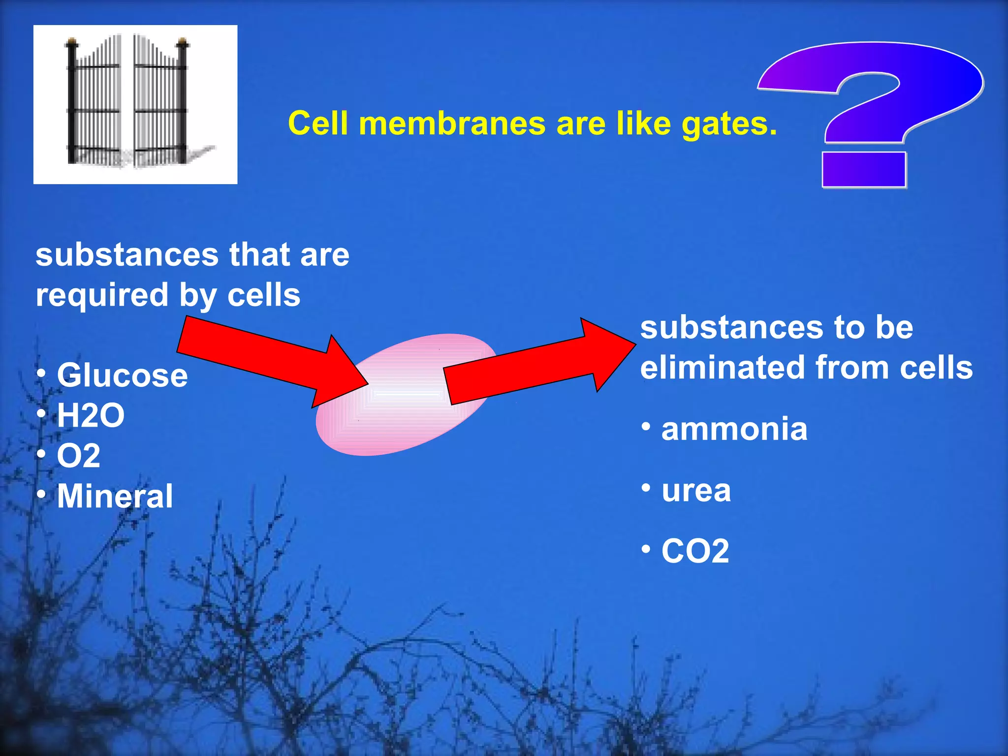 Movement of Substances Across Membrane Plasma | PPT