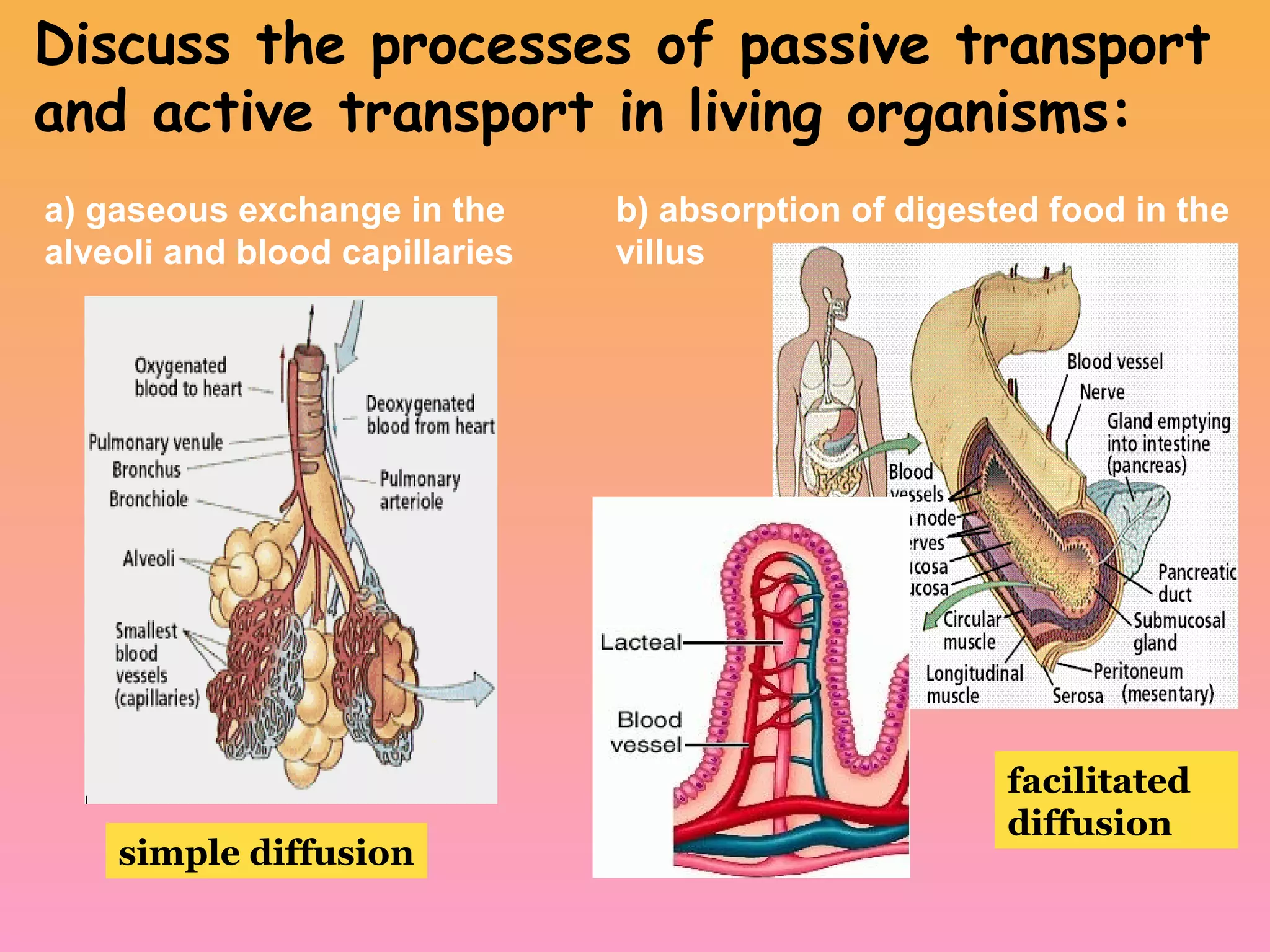 Movement of Substances Across Membrane Plasma | PPT