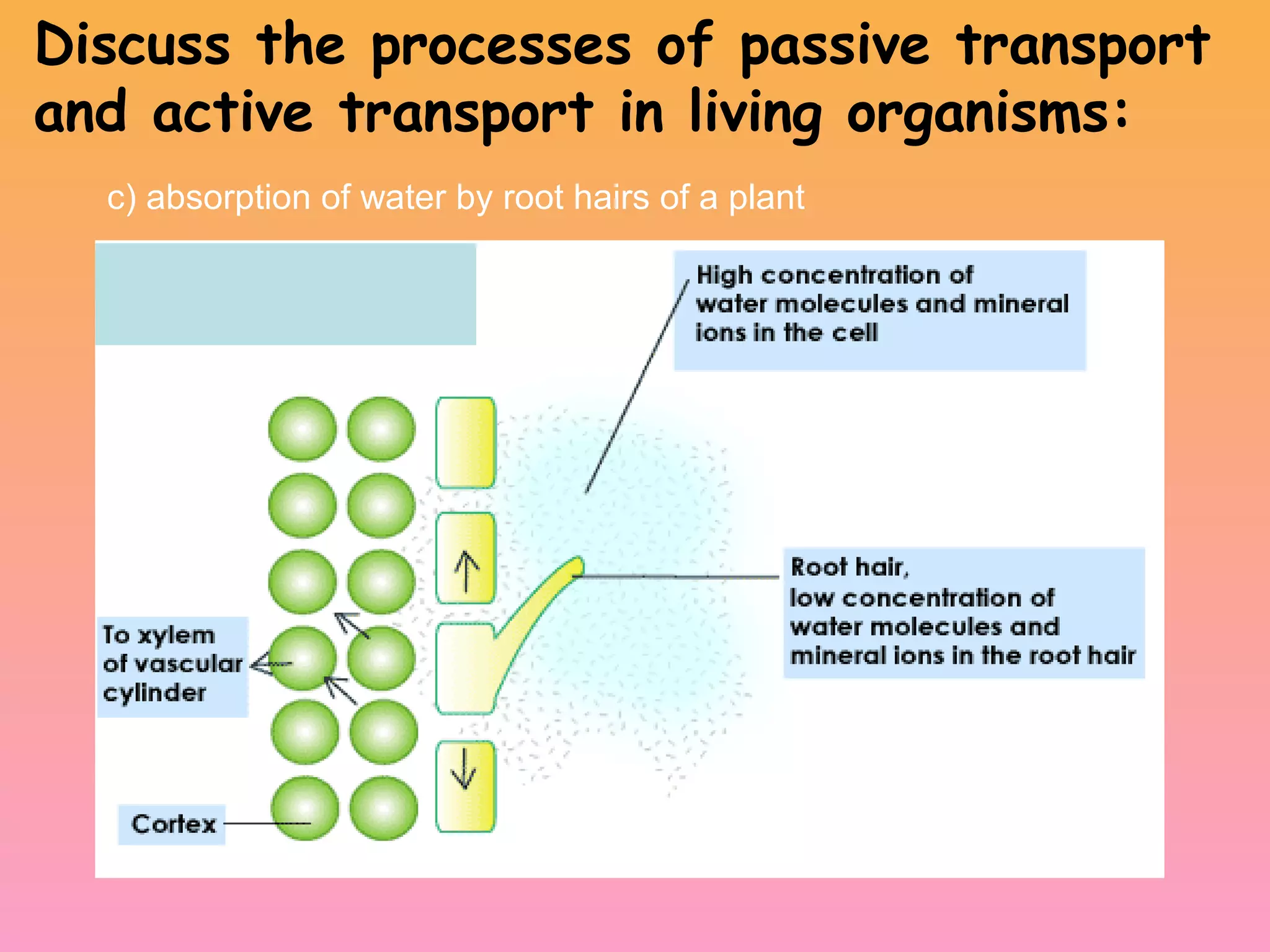 Movement of Substances Across Membrane Plasma | PPT