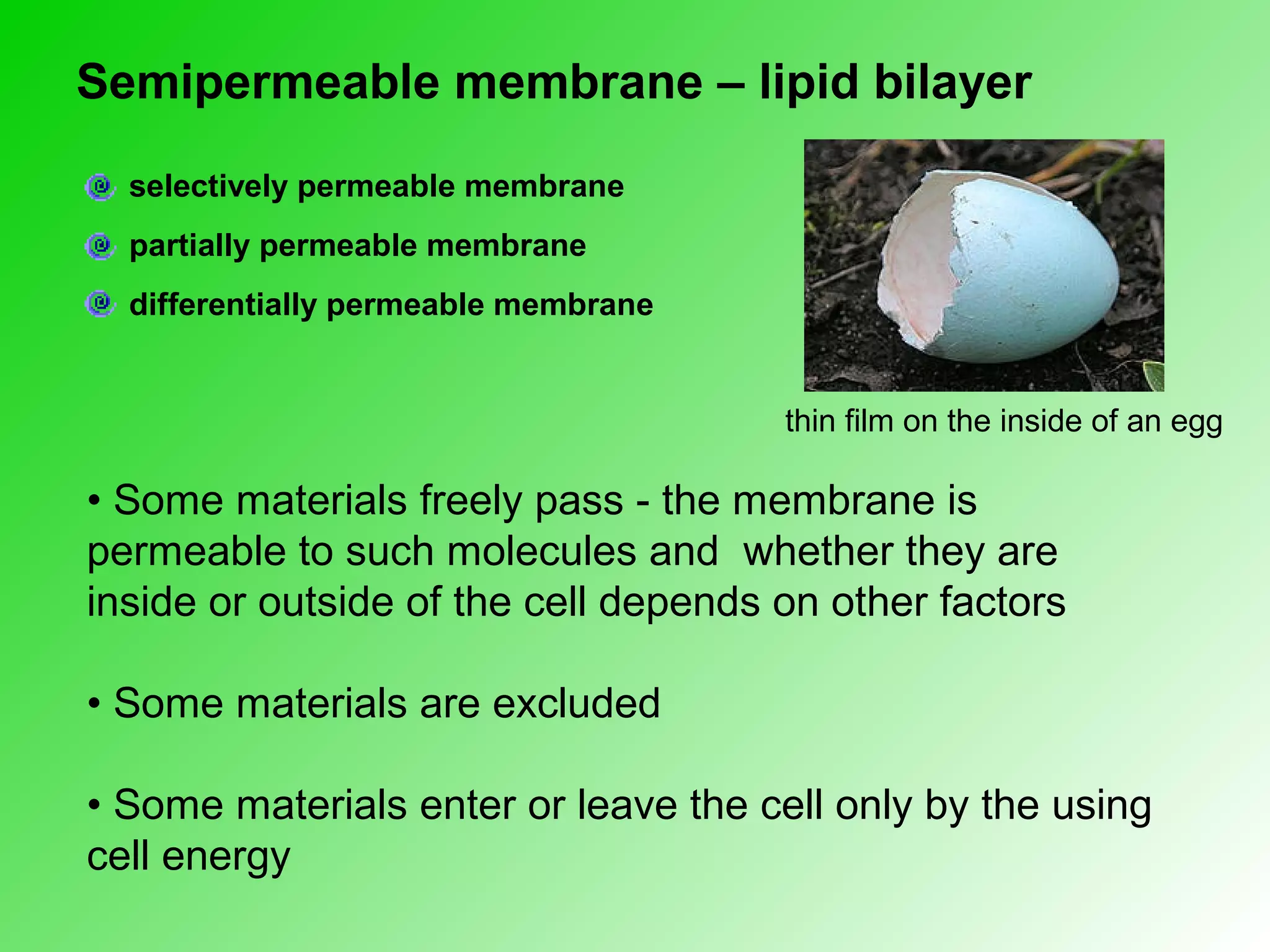 Movement of Substances Across Membrane Plasma | PPT