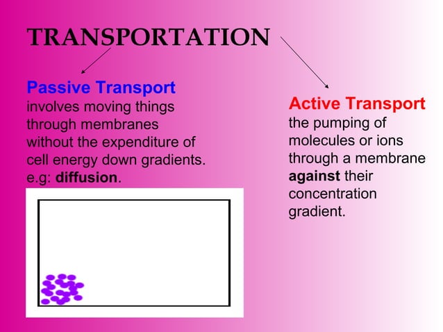 Movement of Substances Across Membrane Plasma | PPT