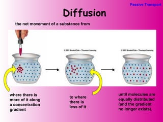 Movement of Substances Across Membrane Plasma | PPT