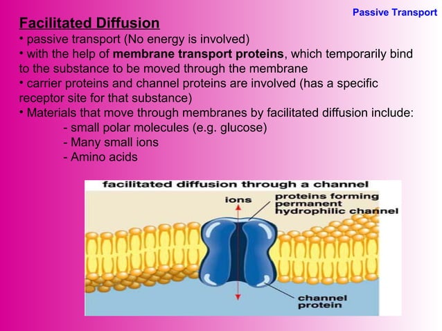 Movement of Substances Across Membrane Plasma | PPT